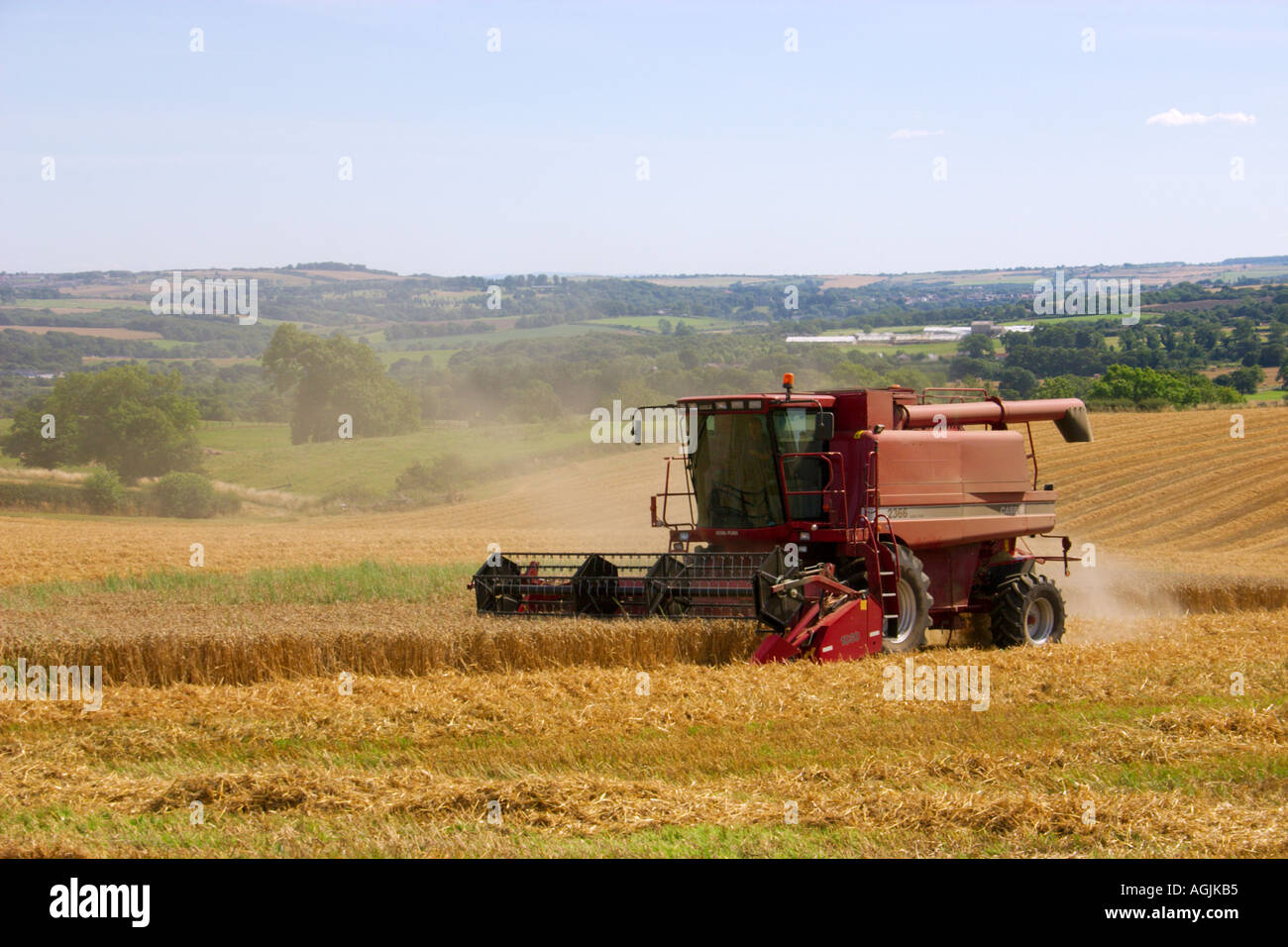 Wheat being harvested Stock Photo - Alamy