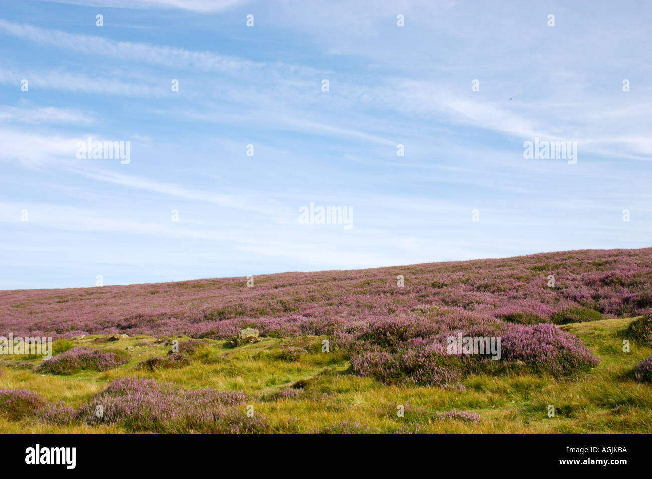 Durham moorland hi-res stock photography and images - Alamy