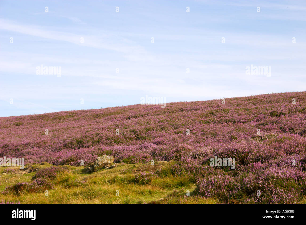 Durham moorland hi-res stock photography and images - Alamy