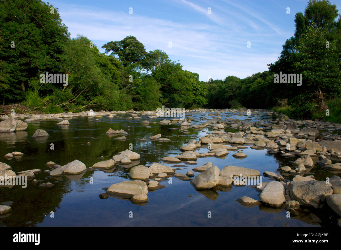 River Wear in summer near Wolsingham UK Stock Photo - Alamy