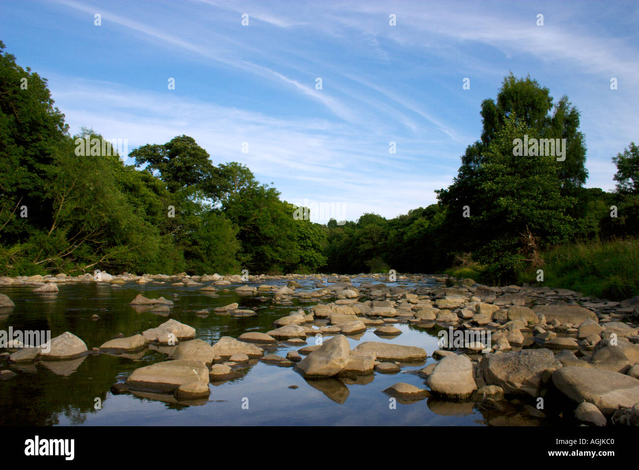 River Wear in summer near Wolsingham UK Stock Photo - Alamy