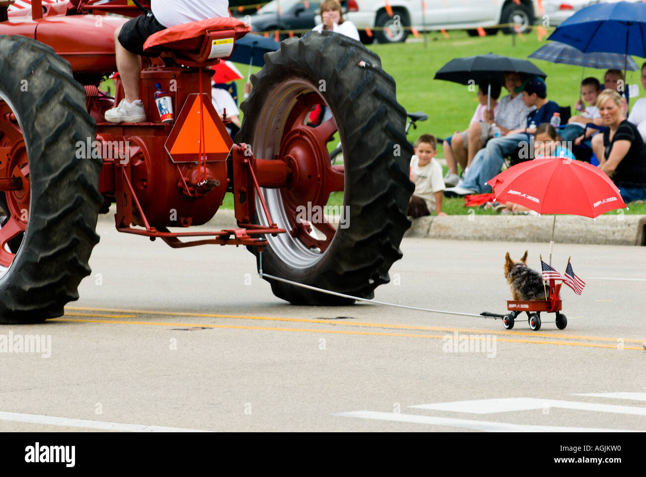 Red tractor pulls a small dog in a wagon at a 4th of July parade in ...