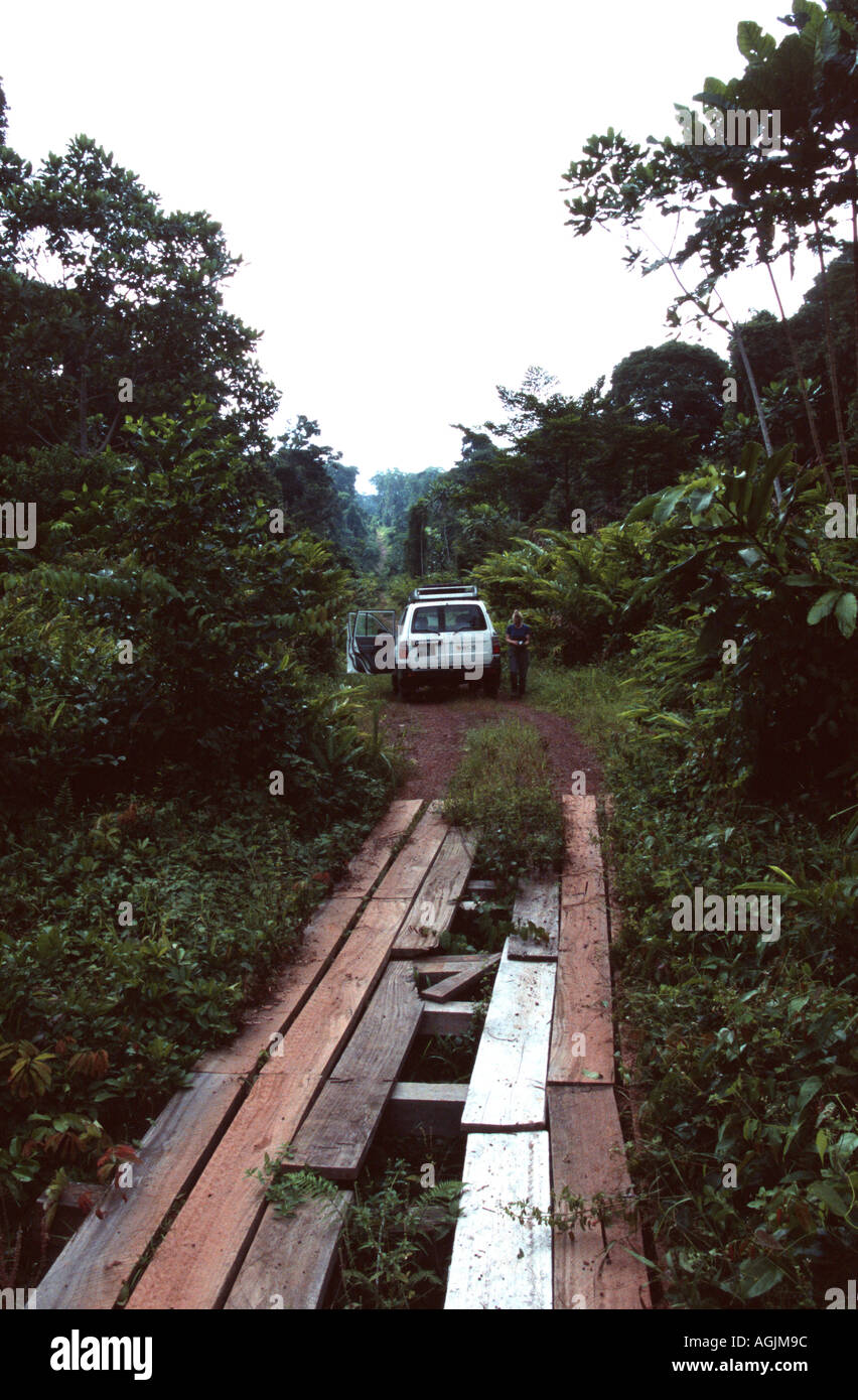 Logging access road hi-res stock photography and images - Alamy