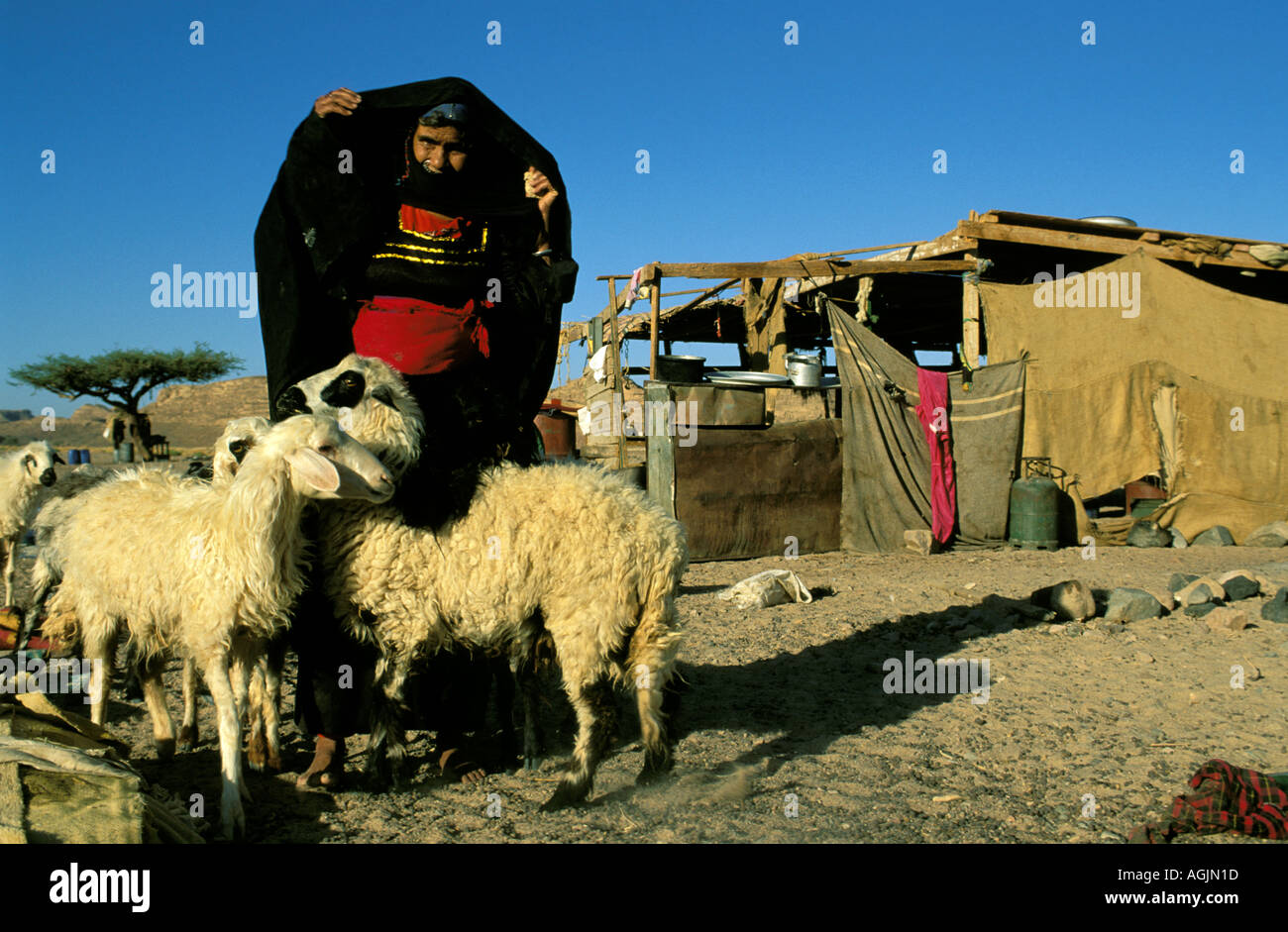 Rabbia hi-res stock photography and images - Alamy