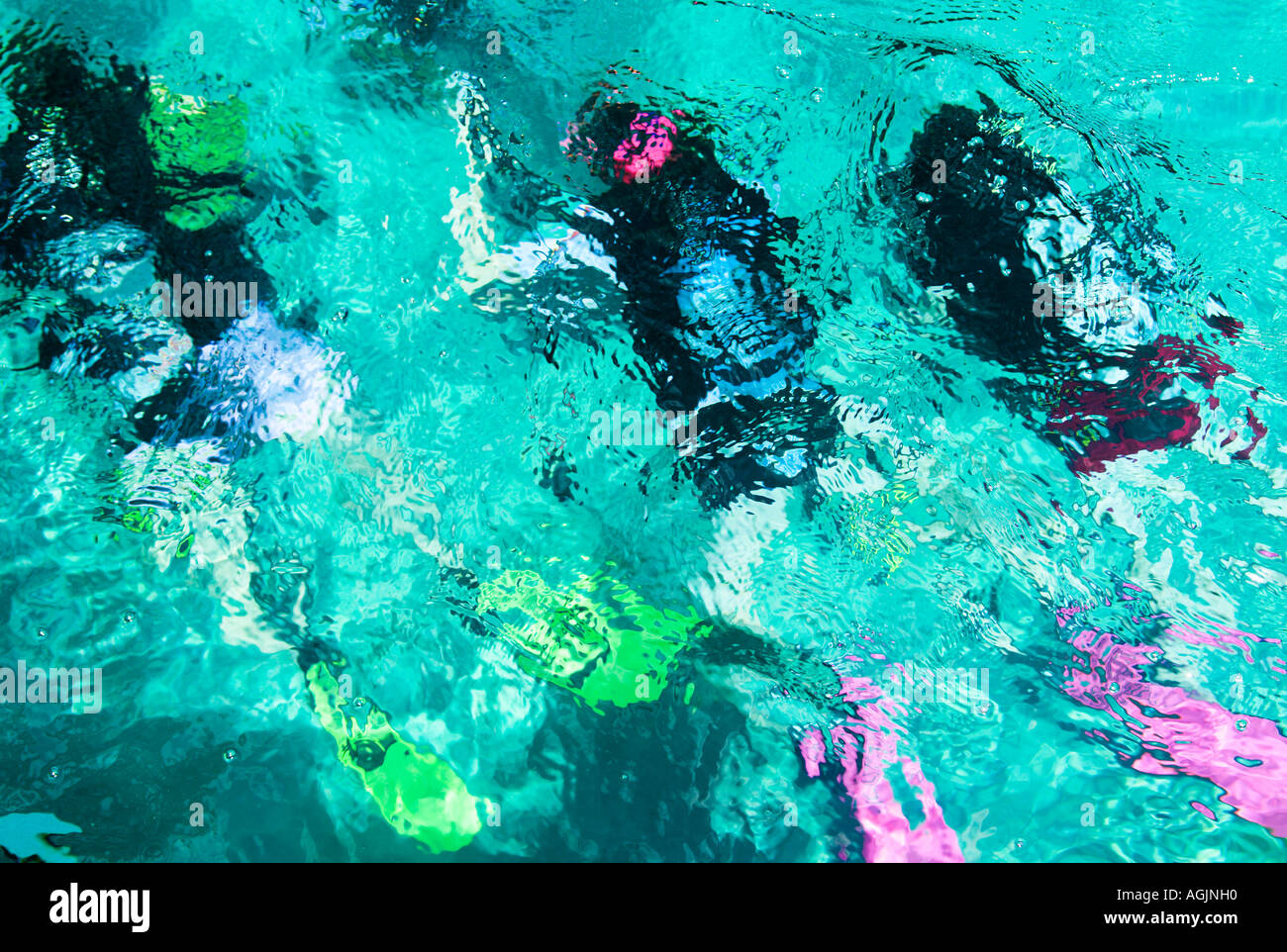 Abstract of scuba divers underwater in the family pool on a hot summer ...