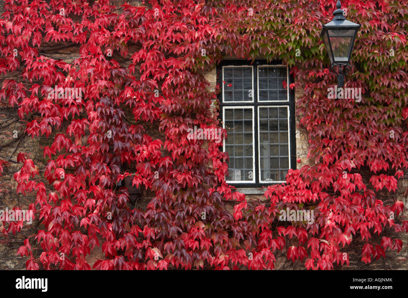 Cecily Hill High Resolution Stock Photography and Images - Alamy