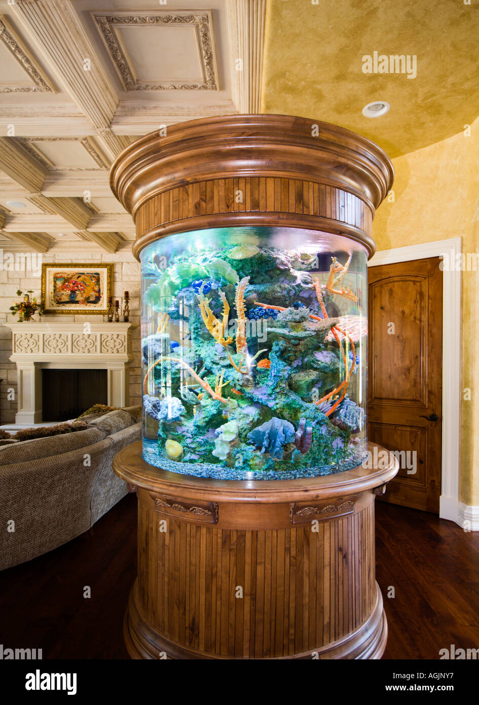 Home Saltwater Aquarium