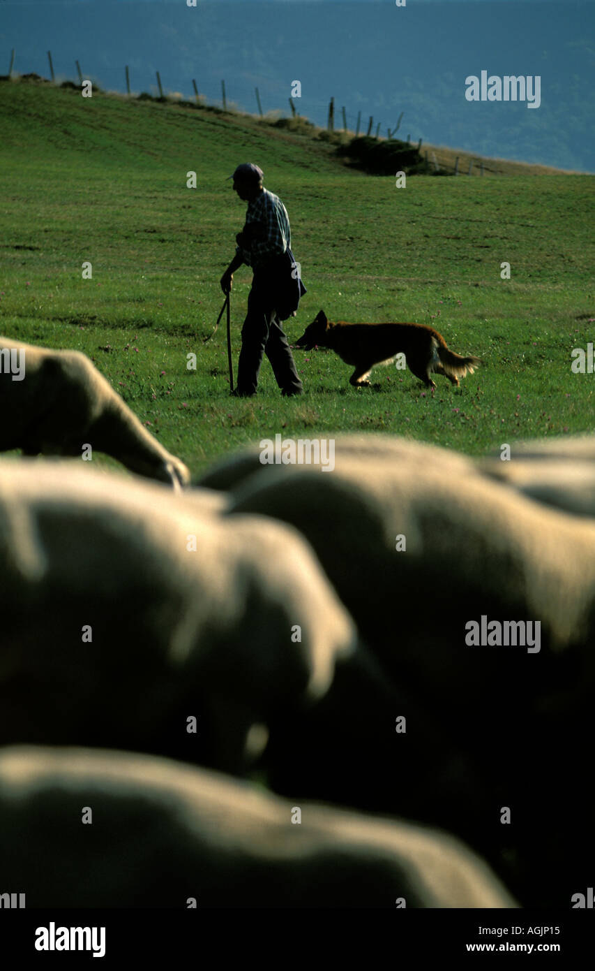 Jdw04479 hi-res stock photography and images - Alamy