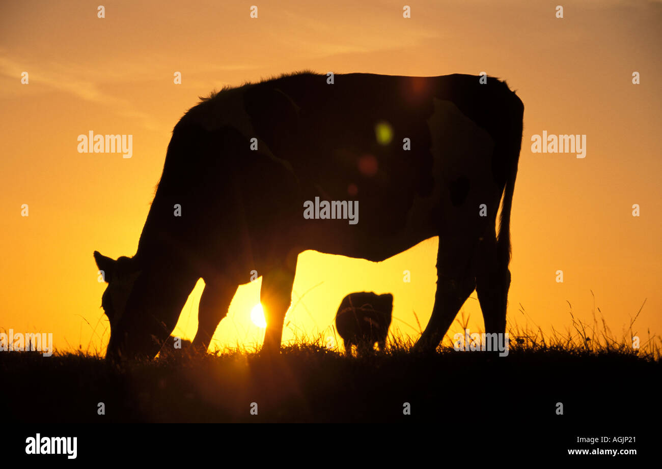 Jdw04562 hi-res stock photography and images - Alamy