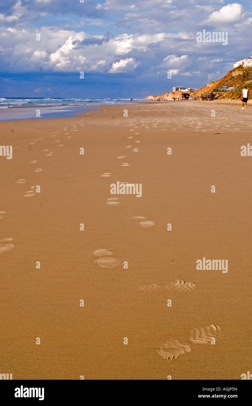 Israel Natanya the beach front tracks on the wet sand Stock Photo - Alamy