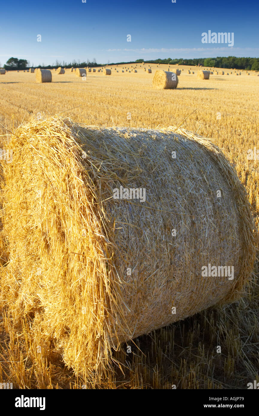 Hay and bailer hi-res stock photography and images - Alamy