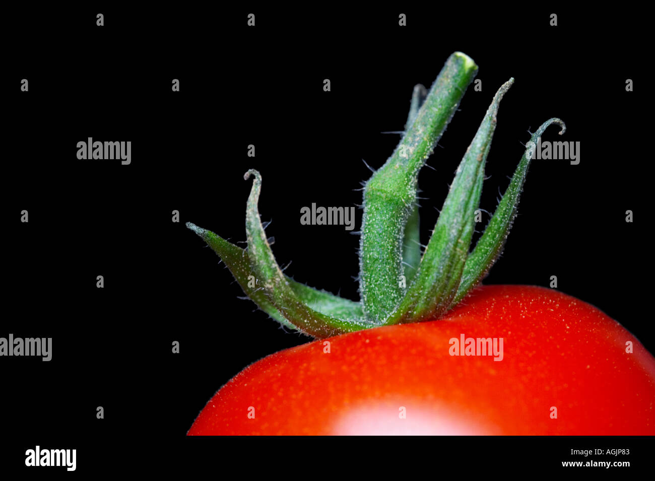 Abstract Tomato Cutout on Black Background Stock Photo - Alamy
