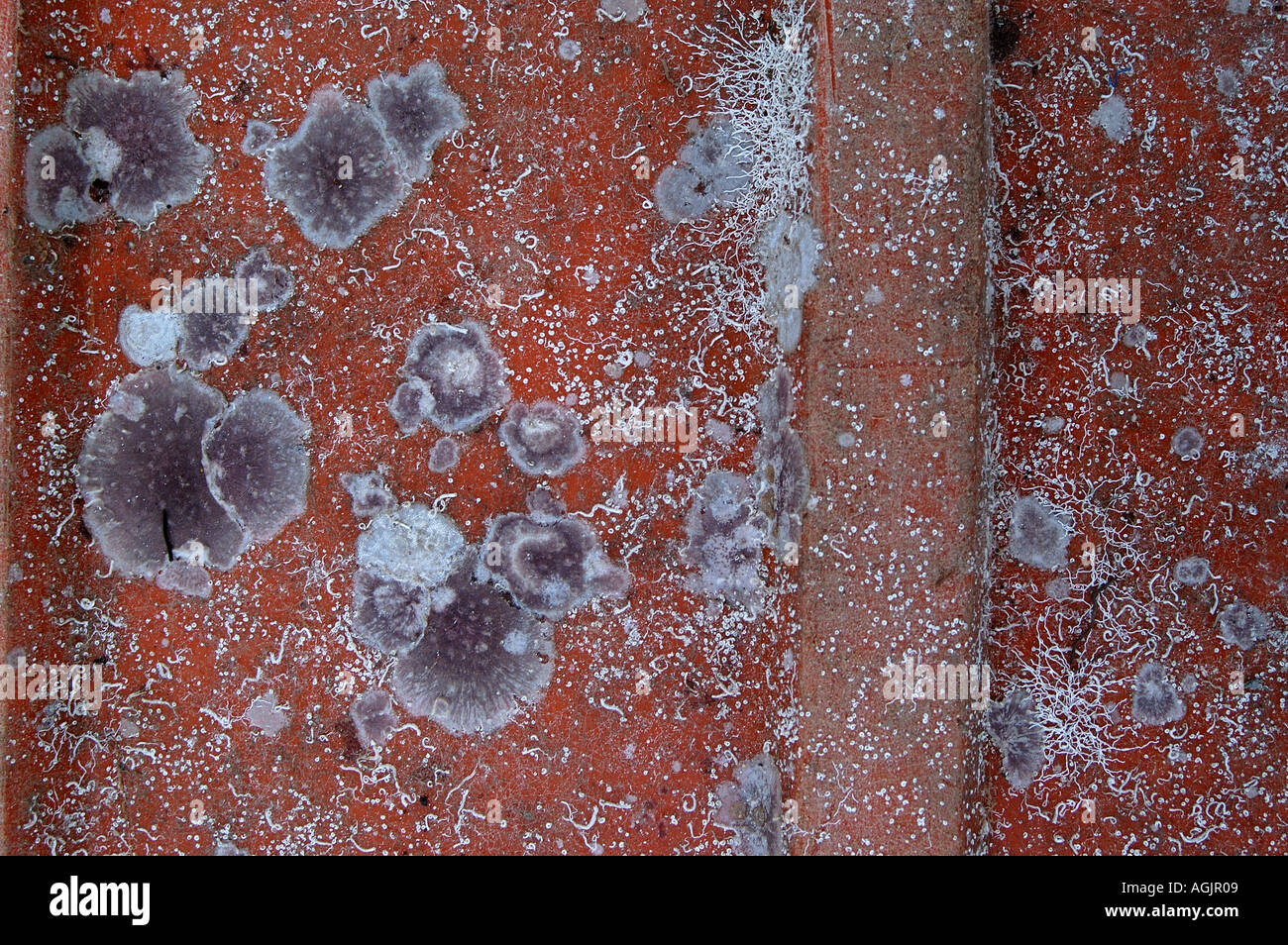 Hull with barnacles hi-res stock photography and images - Alamy