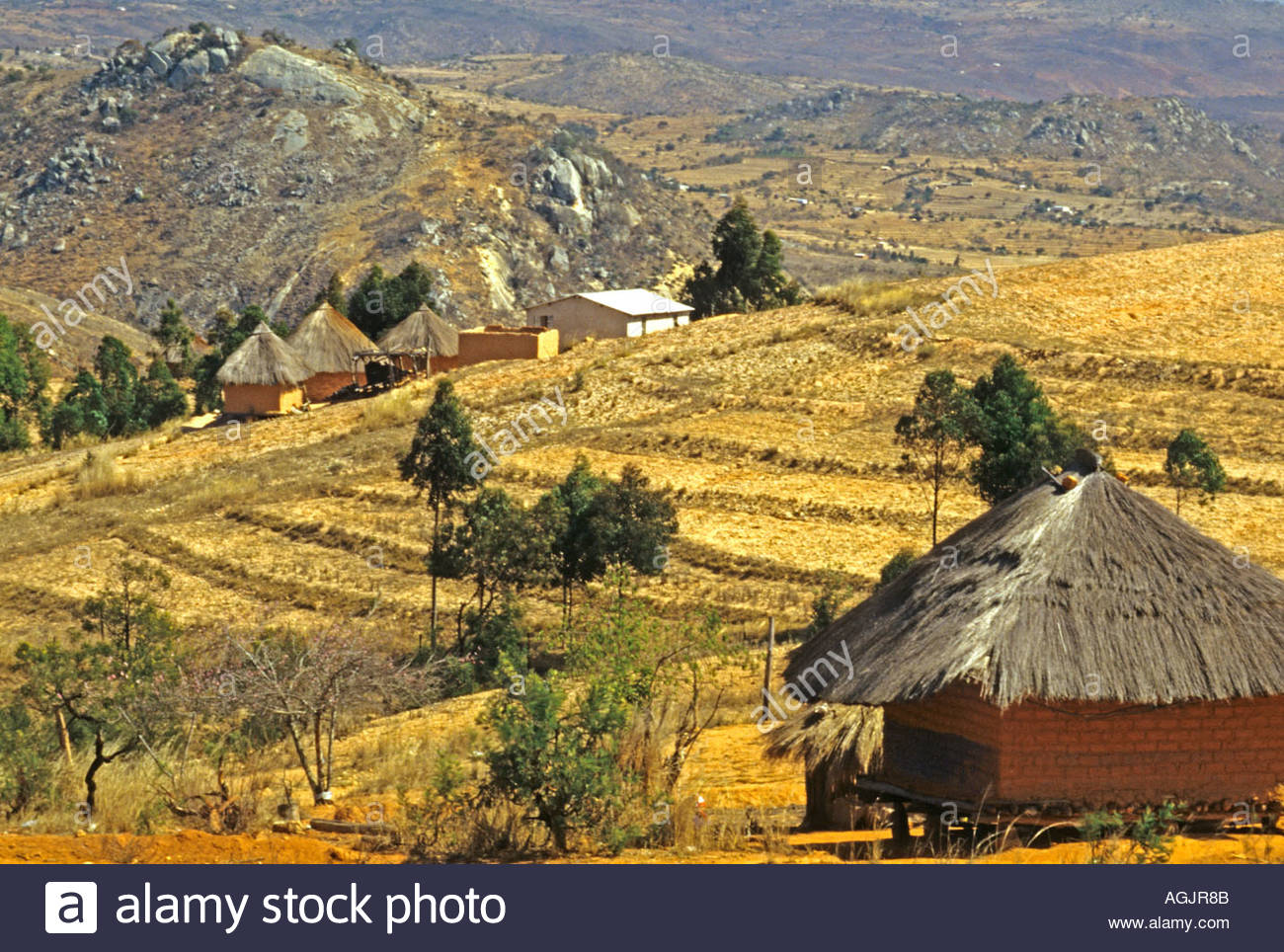 Africa Zimbabwe Huts In Village Stock Photos & Africa Zimbabwe Huts In ...