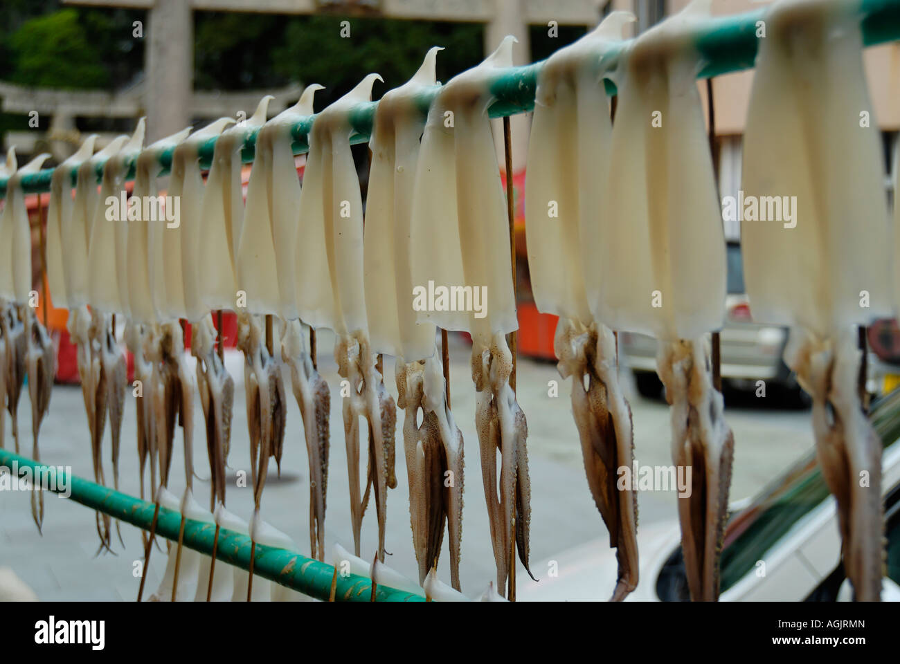 Drying squids on a pole Stock Photo - Alamy