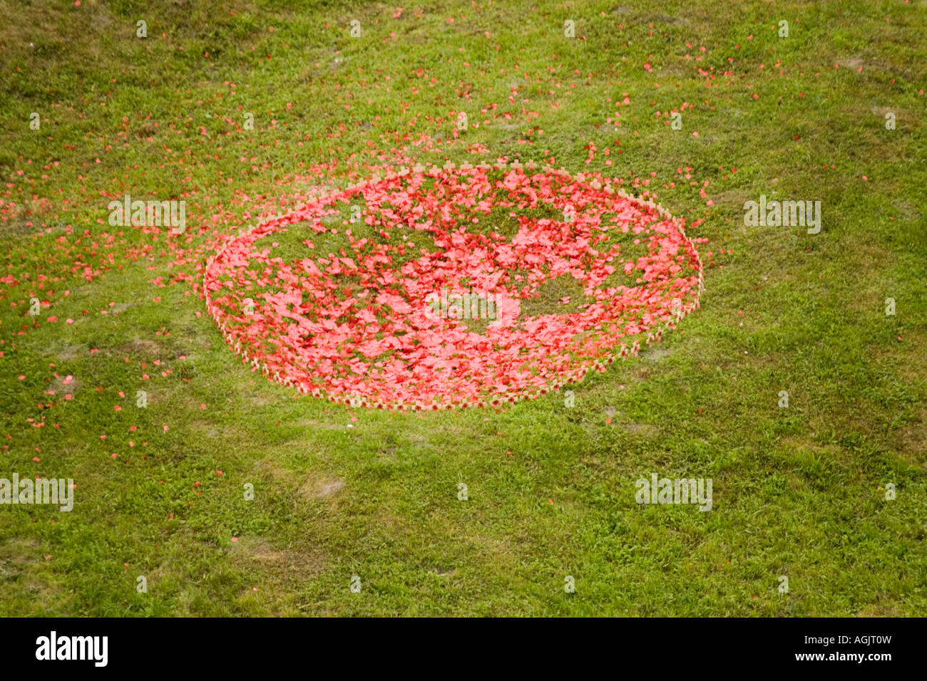 Lochnagar Crater the site of a mine exploded by the British on 1st July ...