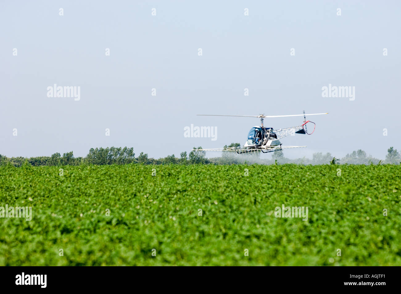 Helicopter crop spraying Stock Photo - Alamy