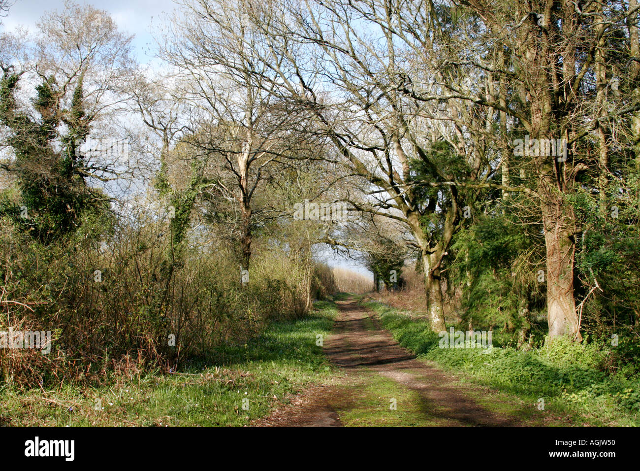 Bere Regis High Resolution Stock Photography and Images - Alamy