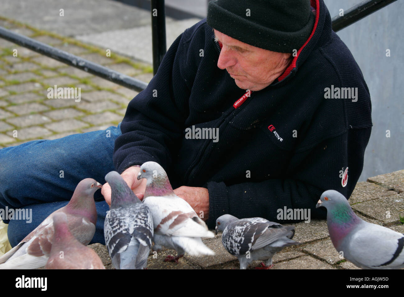 Man feeding pigeons England UK Stock Photo - Alamy