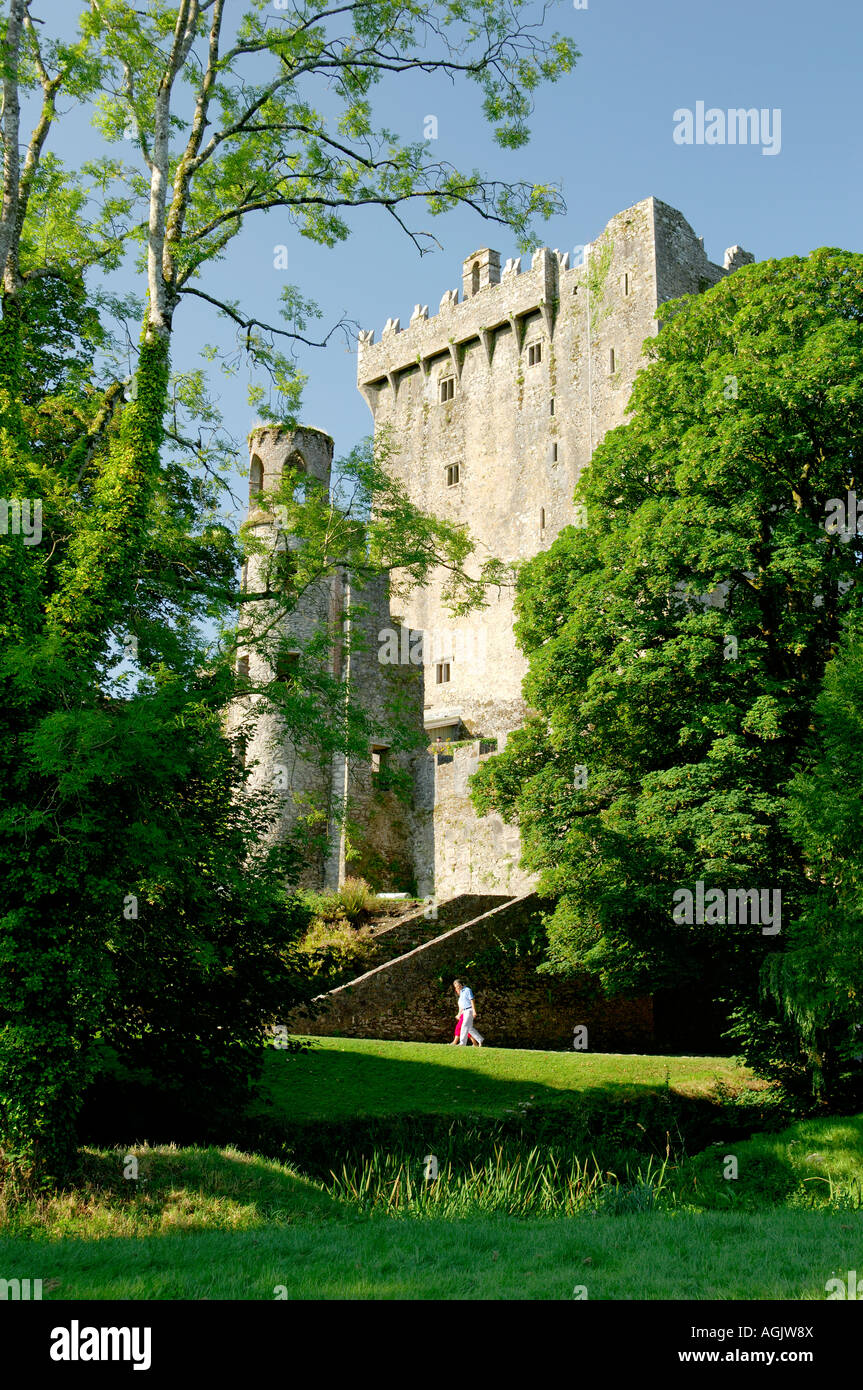 Castles in county cork hi-res stock photography and images - Alamy
