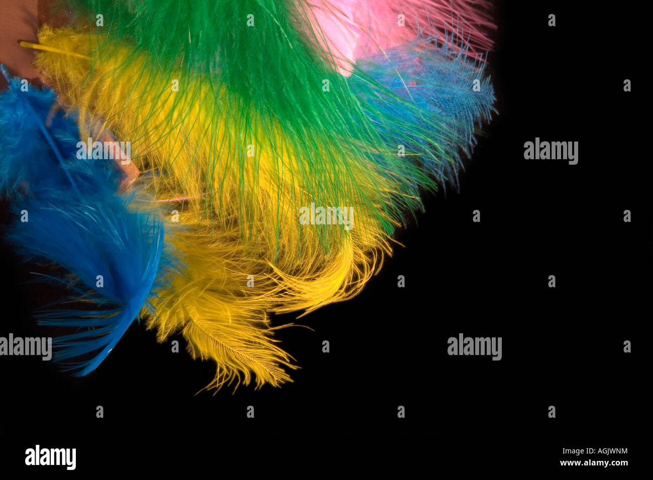 Abstract of Multi-Colored Feathers Stock Photo - Alamy