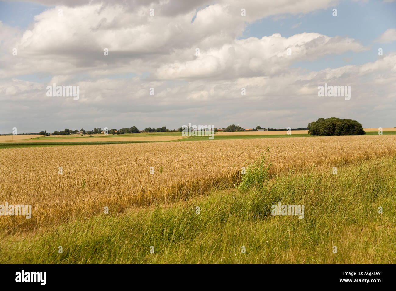 Liverpool grande hi-res stock photography and images - Alamy