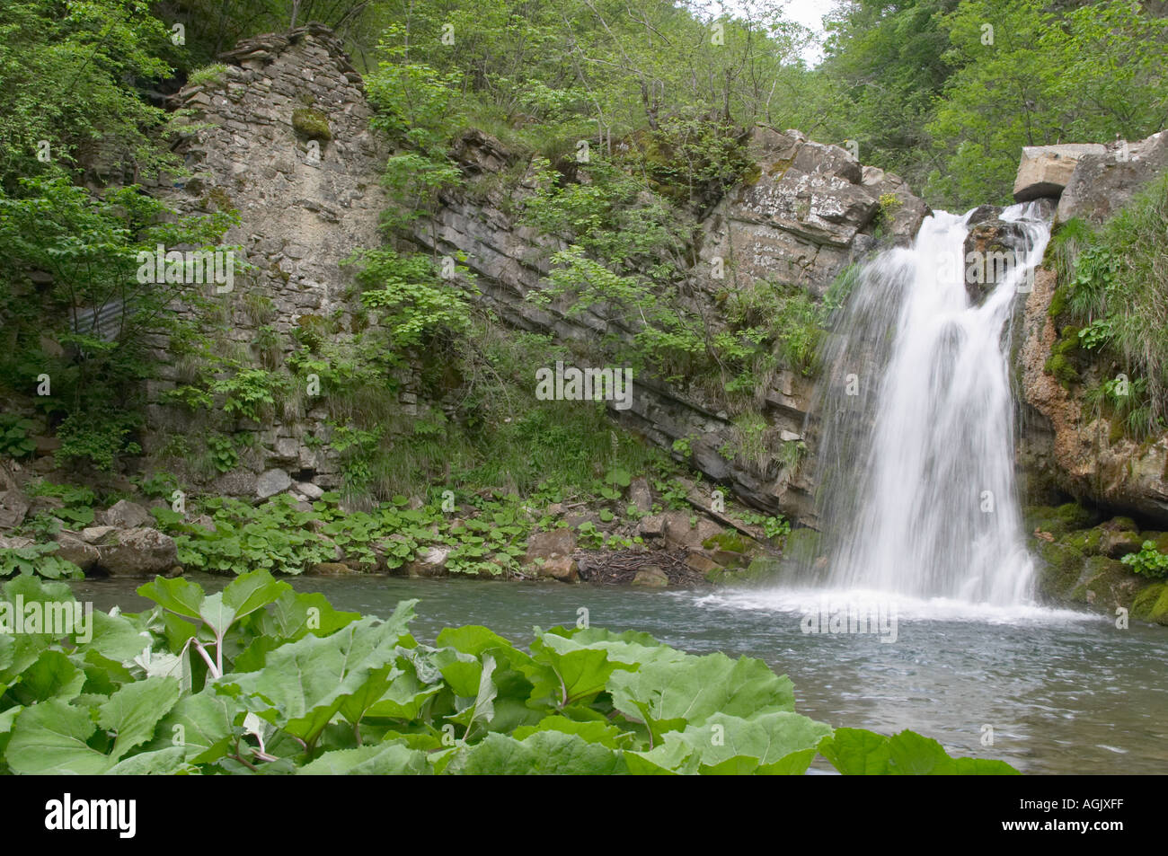 Suzzi hi-res stock photography and images - Alamy