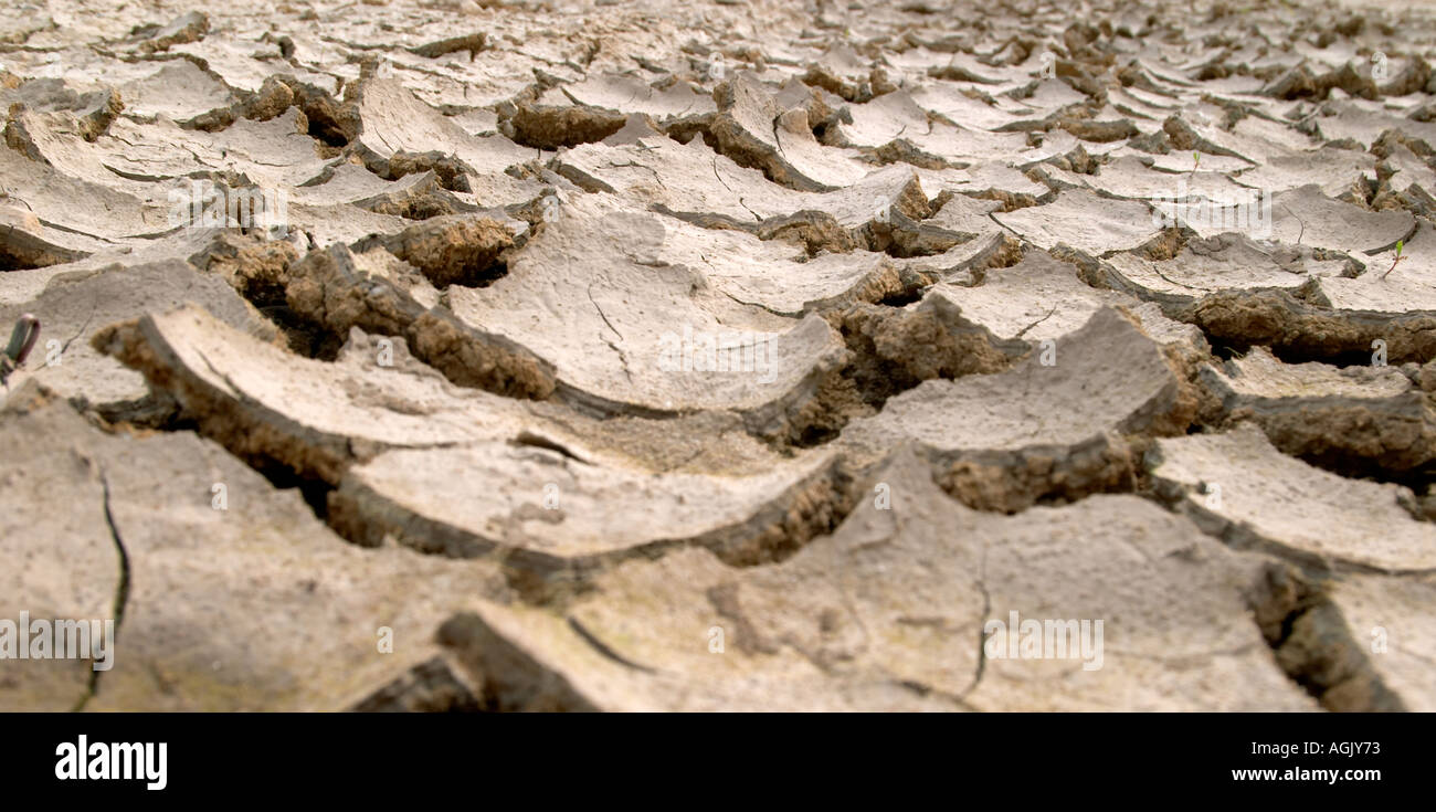 Dry mud cracks texture Valtrebbia Italy Stock Photo - Alamy