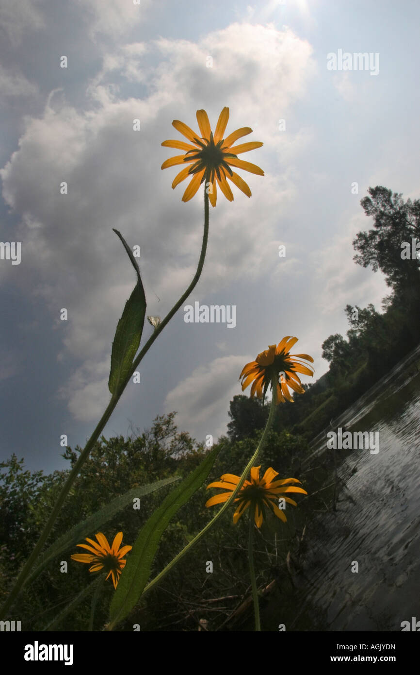 Dream hi res hi-res stock photography and images - Alamy