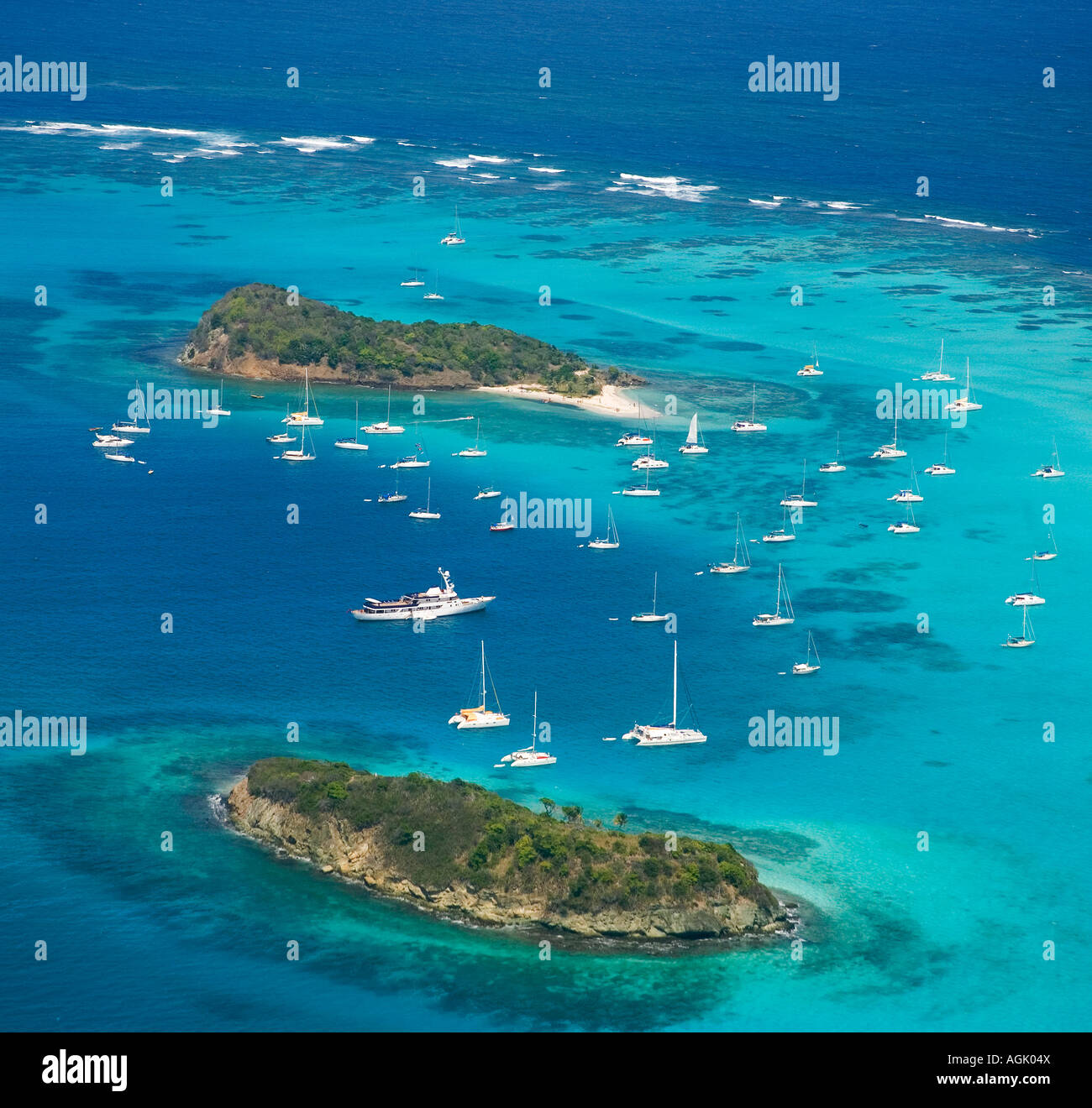Diving tobago hi-res stock photography and images - Alamy