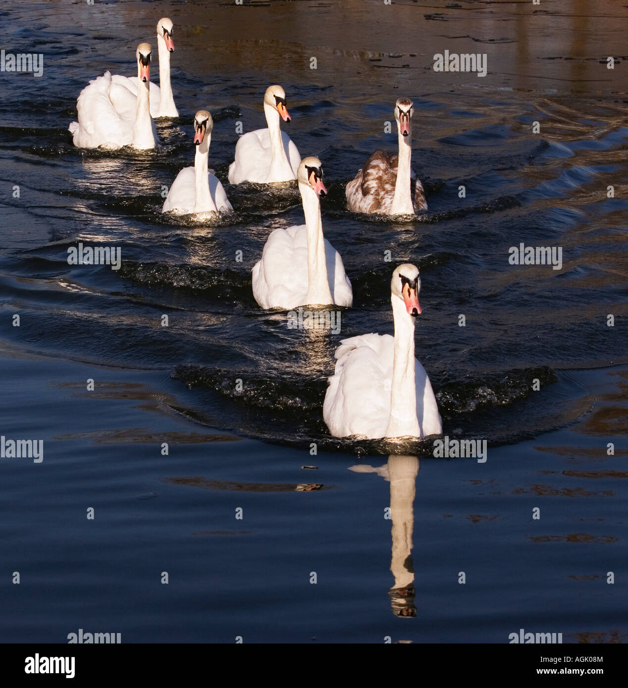 Moving line hi-res stock photography and images - Alamy