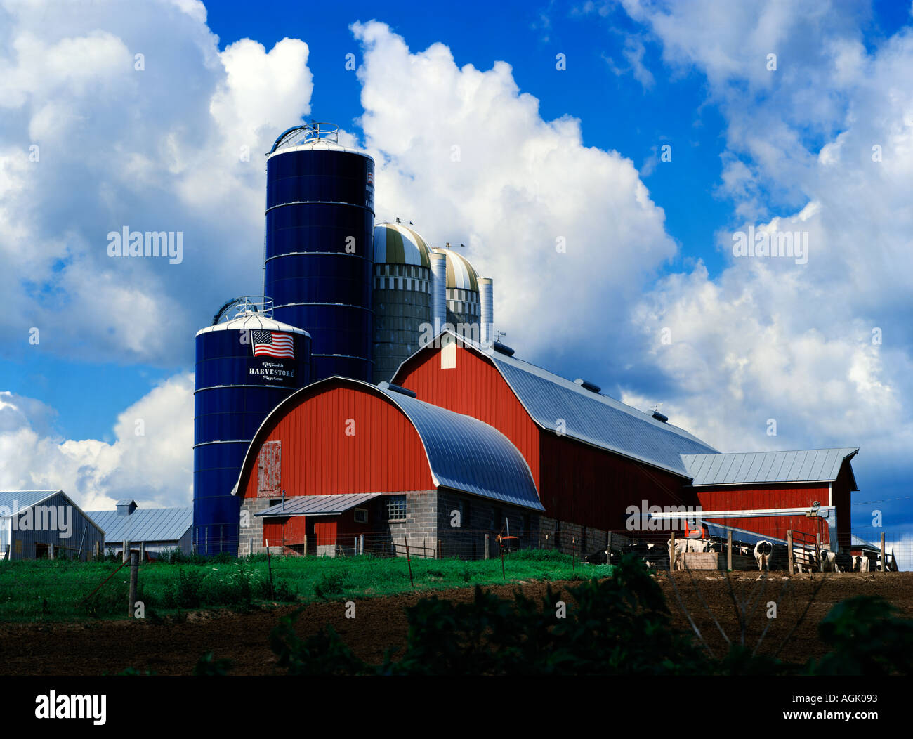 Loafing barn hi-res stock photography and images - Alamy