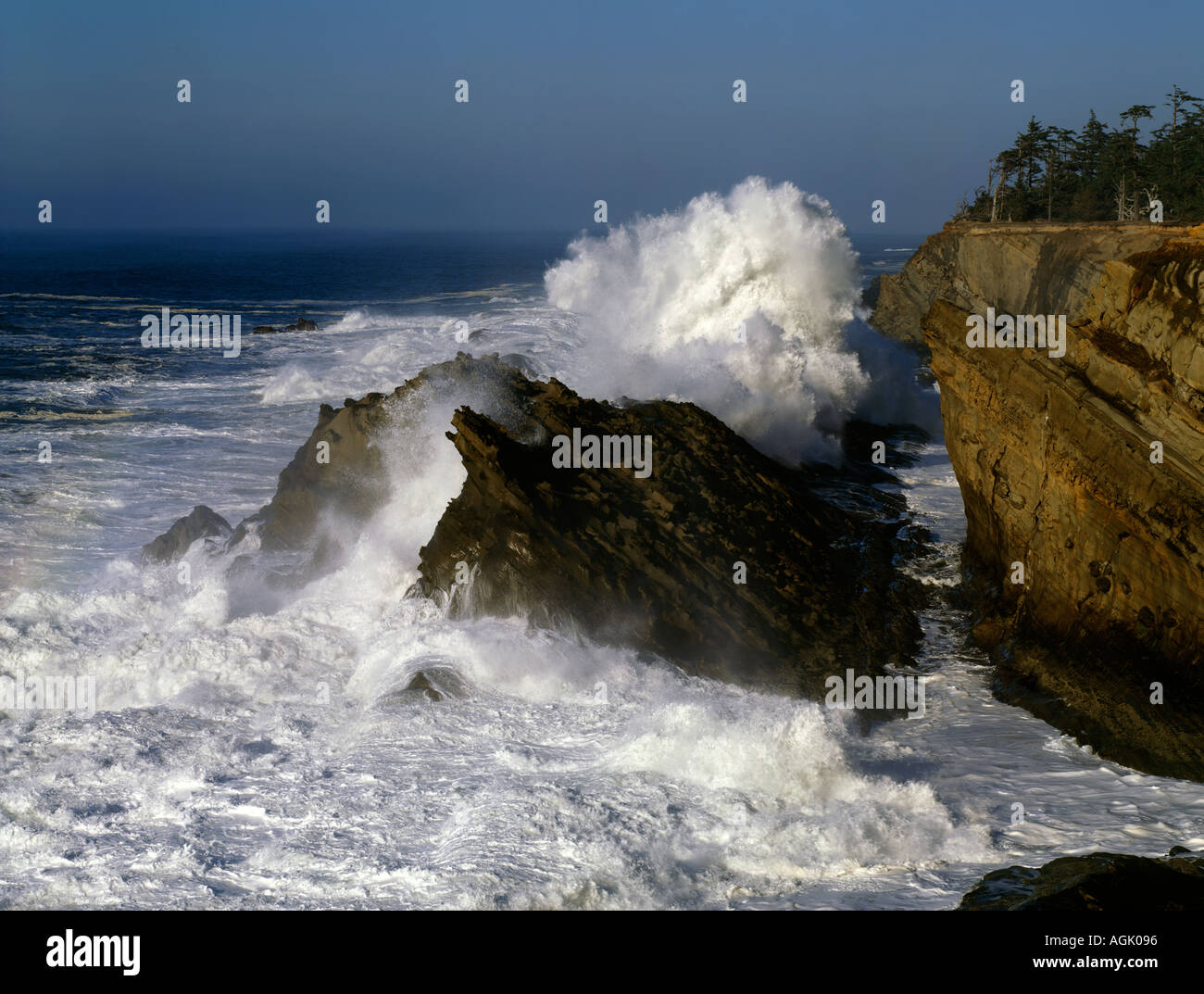 Shore Acres State Park near Coos Bay on the Southern Oregon coast where ...