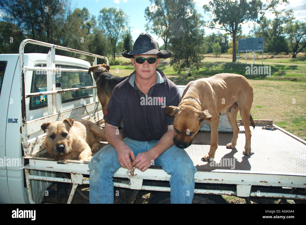 cowboy pig hunter and dogs on ute dsc 0009 Stock Photo - Alamy