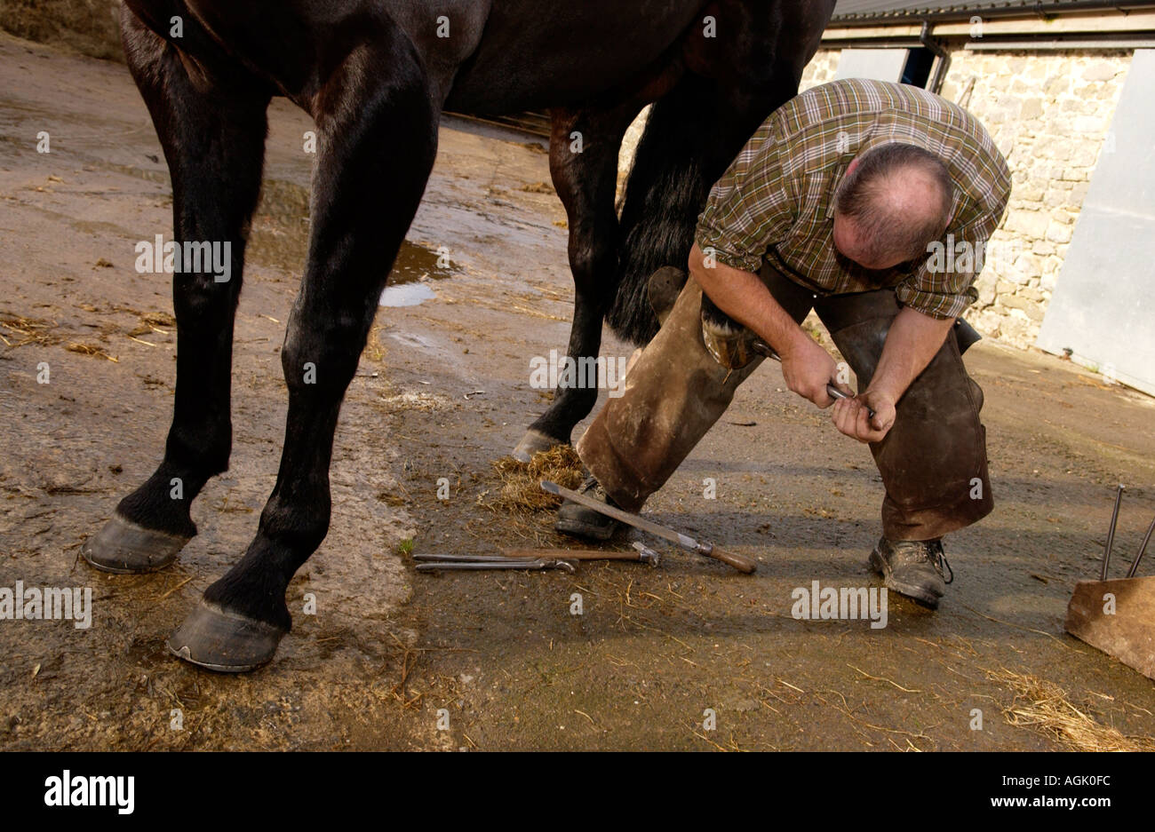 Hoof tongs hi-res stock photography and images - Alamy