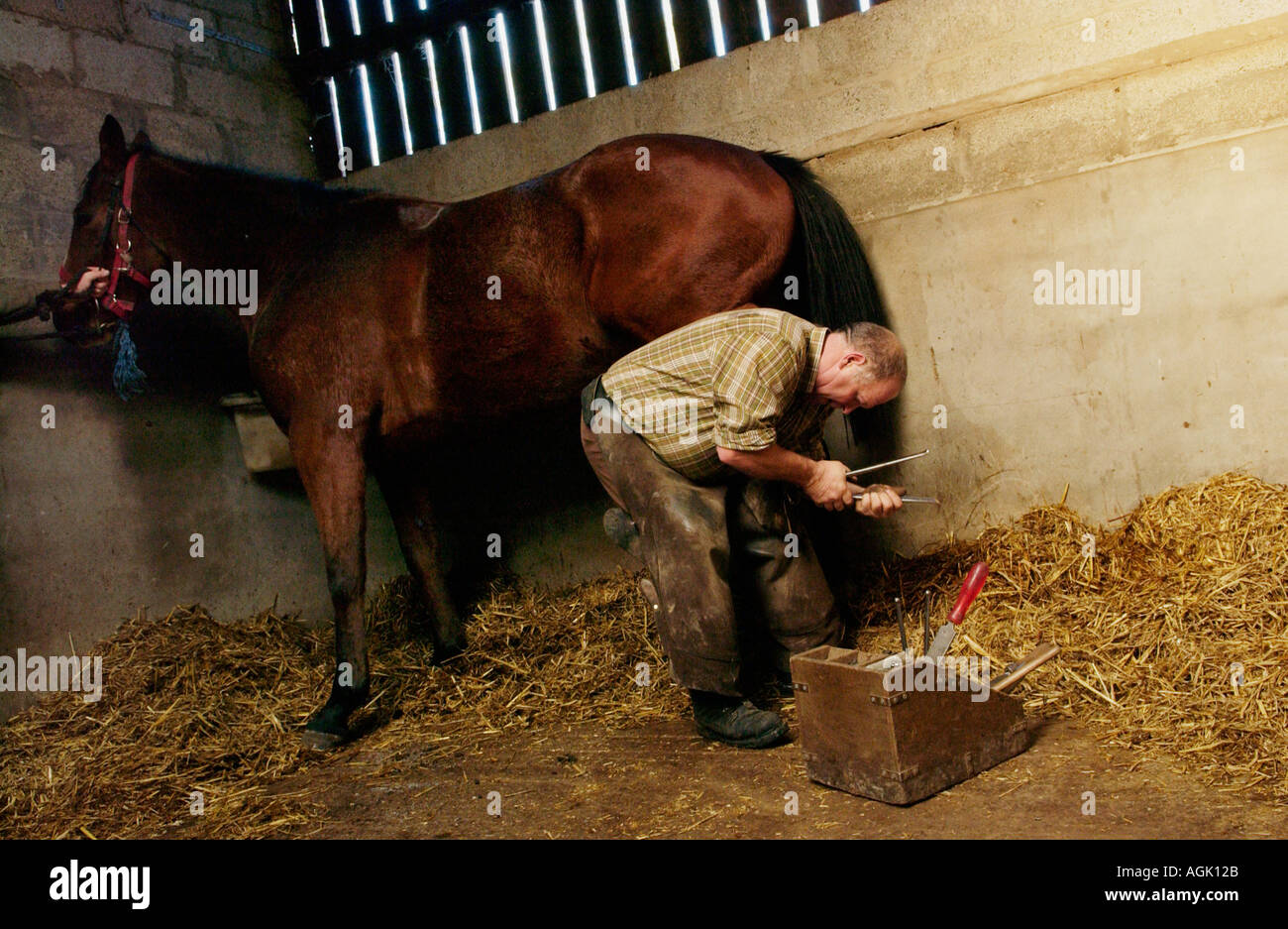 Mobile farrier shoeing horse in hi-res stock photography and images - Alamy