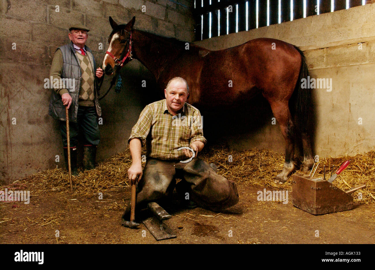 Mobile farrier shoeing horse in stable UK Stock Photo - Alamy