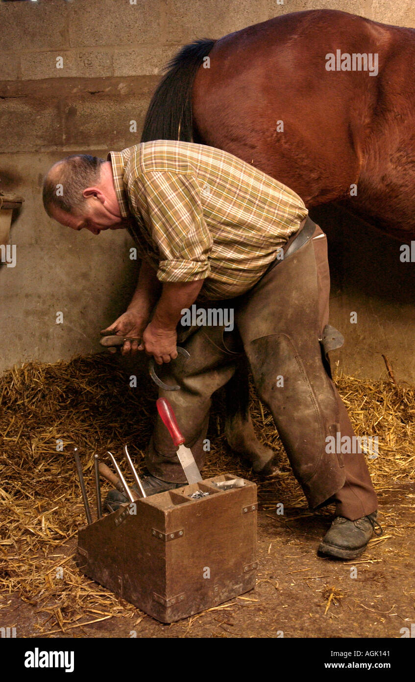 Mobile farrier shoeing horse in stable UK Stock Photo - Alamy