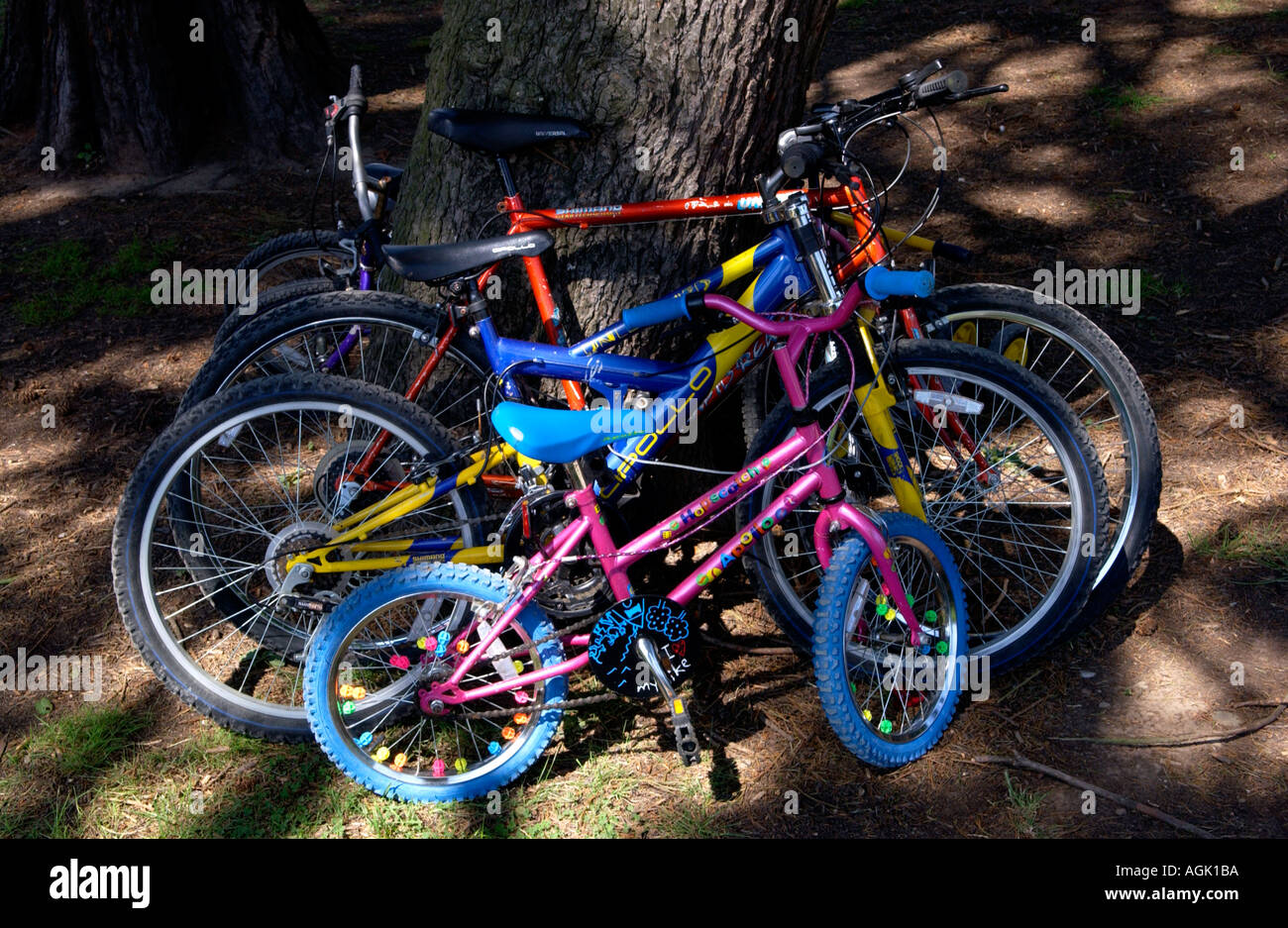 Colourful children's and adults push bikes leaning against a tree in a ...