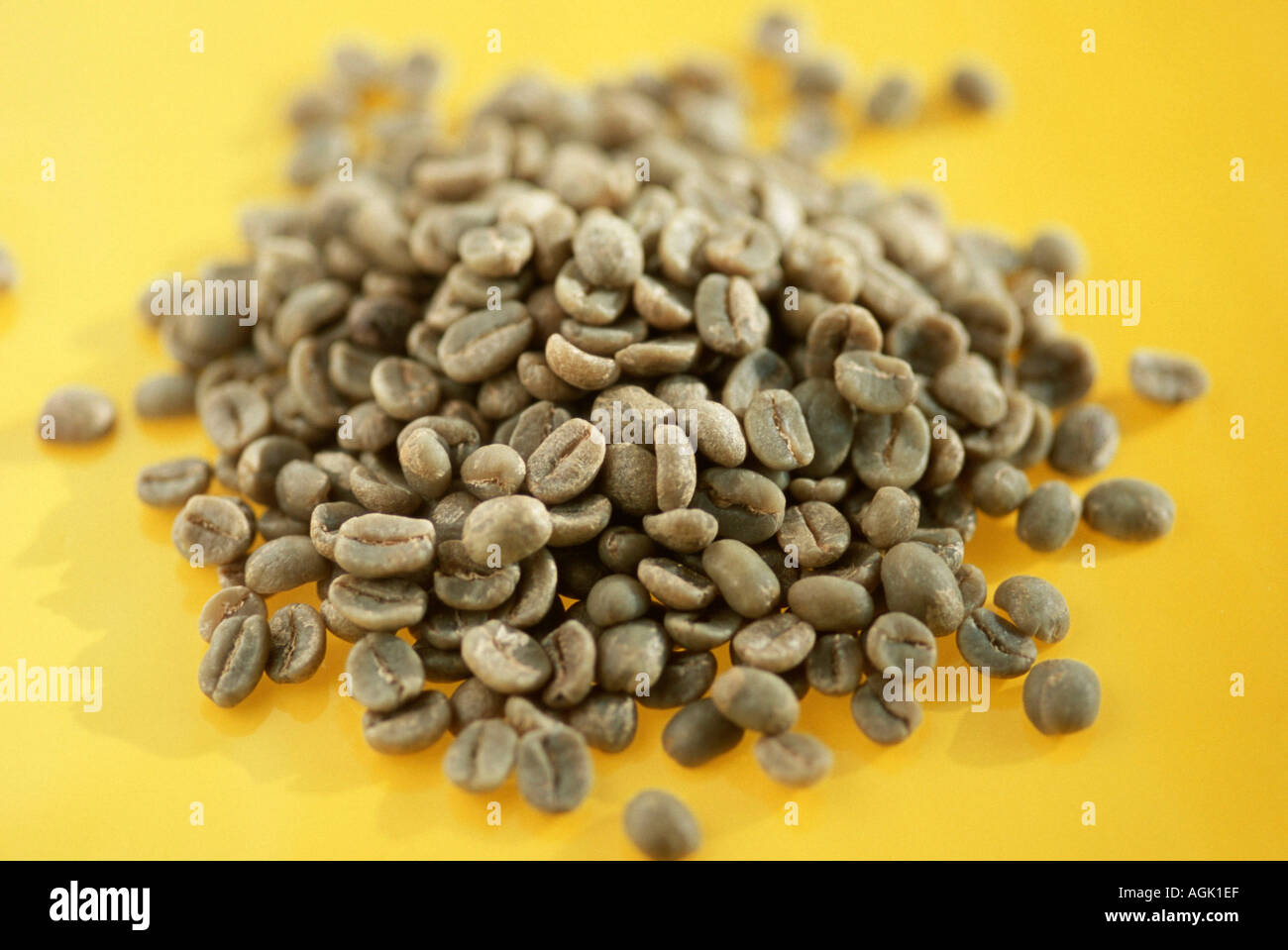 Coffee beans unroasted Coffea arabica Kaffee Bohnen ungeroestet Stock ...