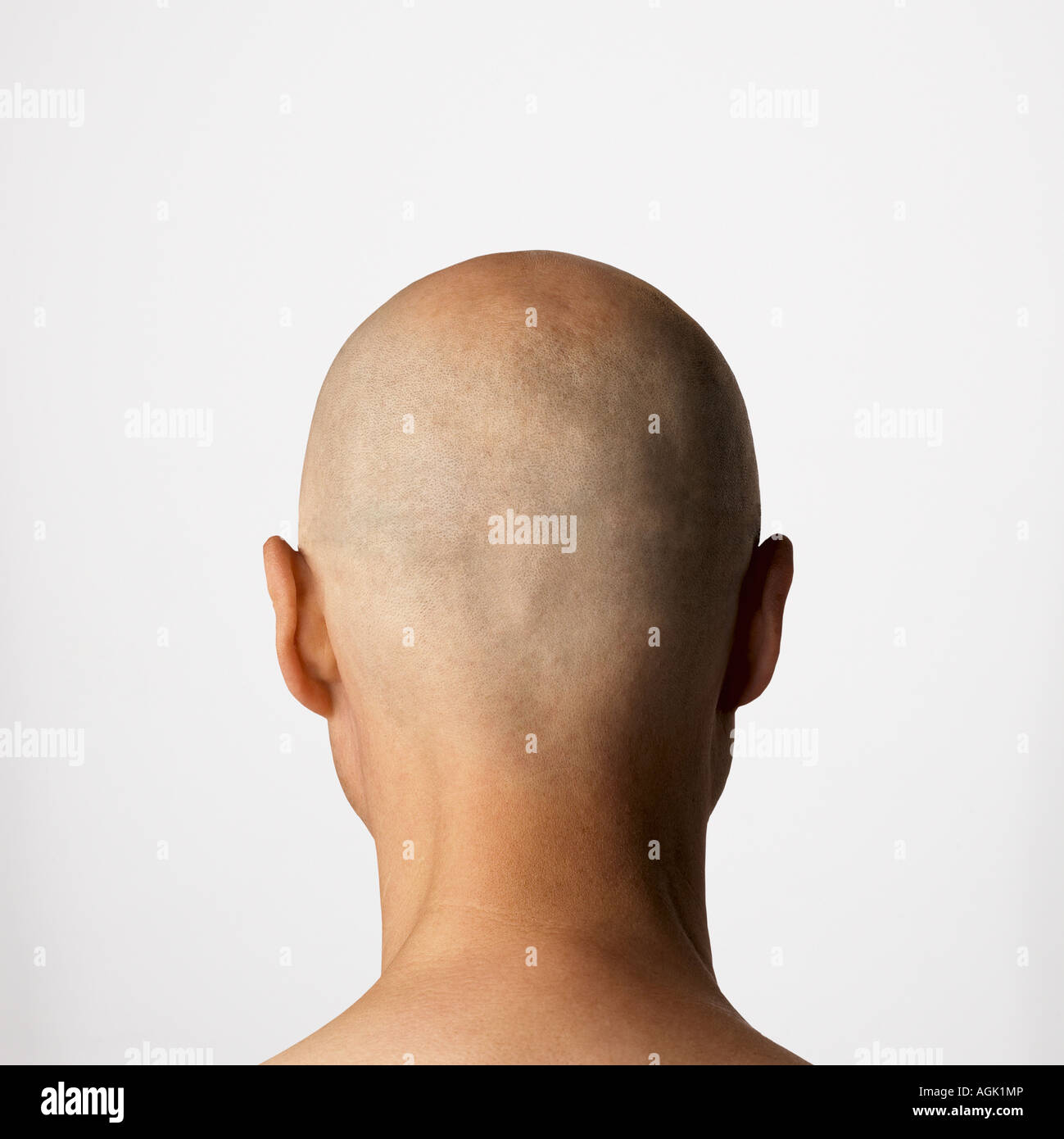 Back of man s bald head Stock Photo - Alamy