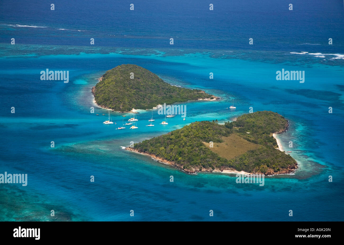 Tobago cays snorkeling hi-res stock photography and images - Alamy