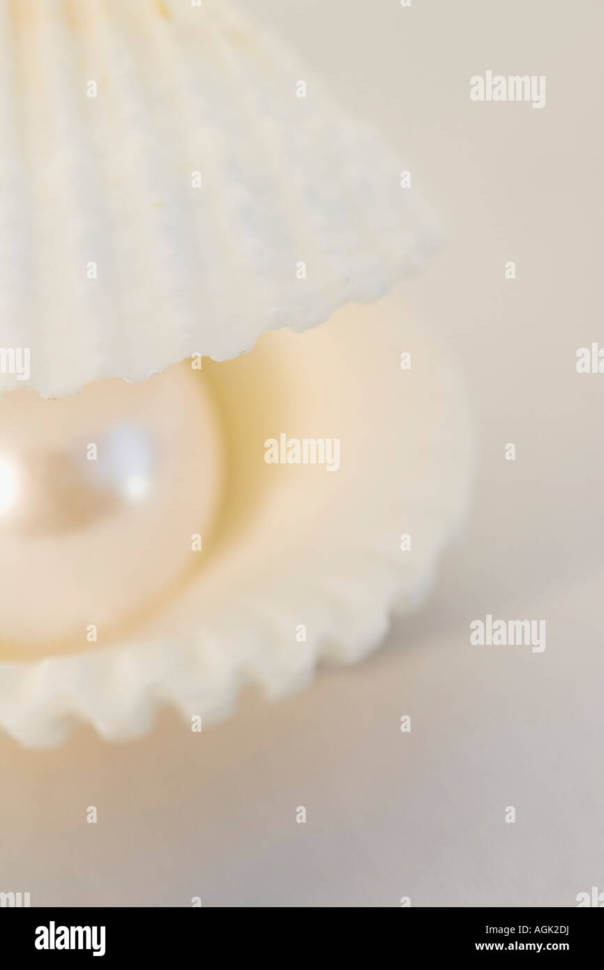 Seashell inside hi-res stock photography and images - Alamy