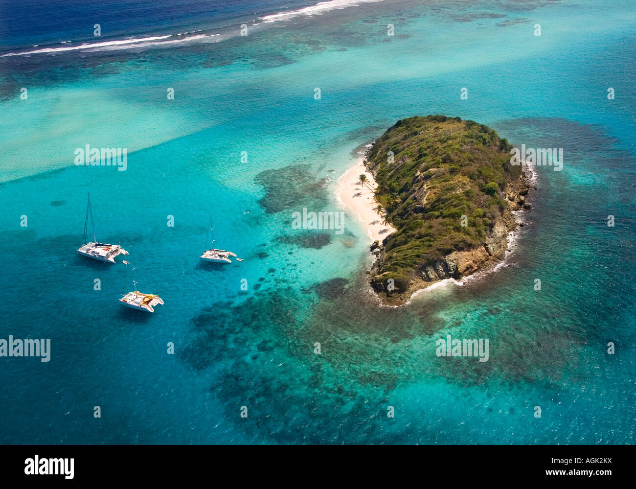 Tobago cays snorkeling hi-res stock photography and images - Alamy