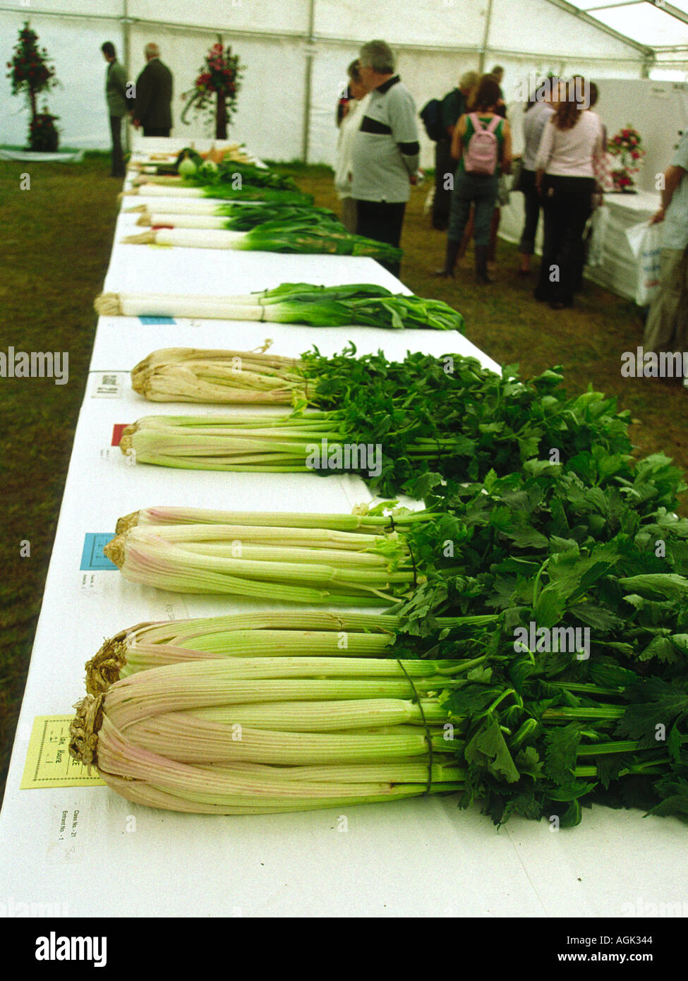 Frome cheese show hi-res stock photography and images - Alamy