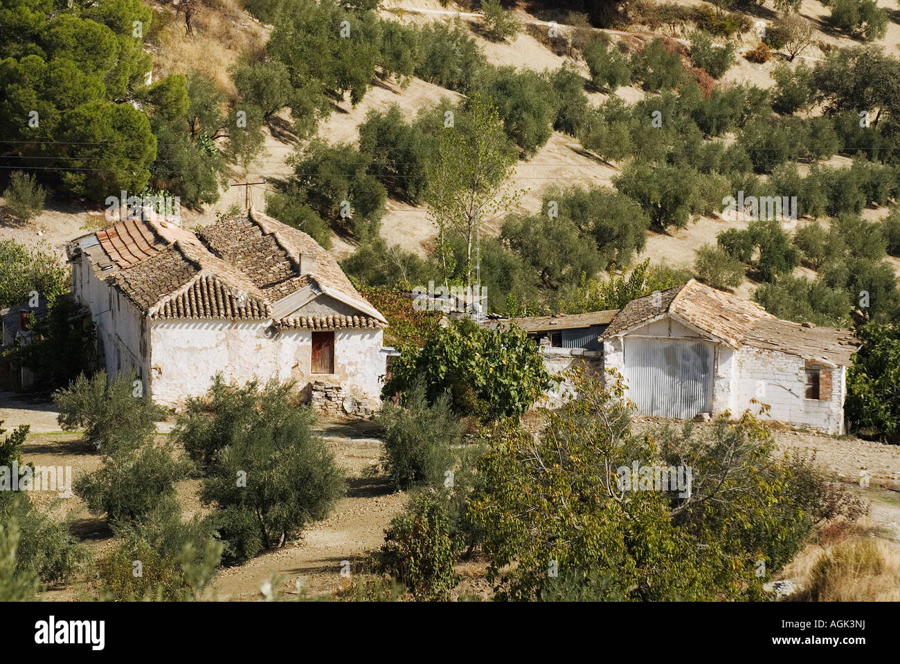 Old Farmhouse and Outbuildings in Andalucia, Spain Stock Photo - Alamy