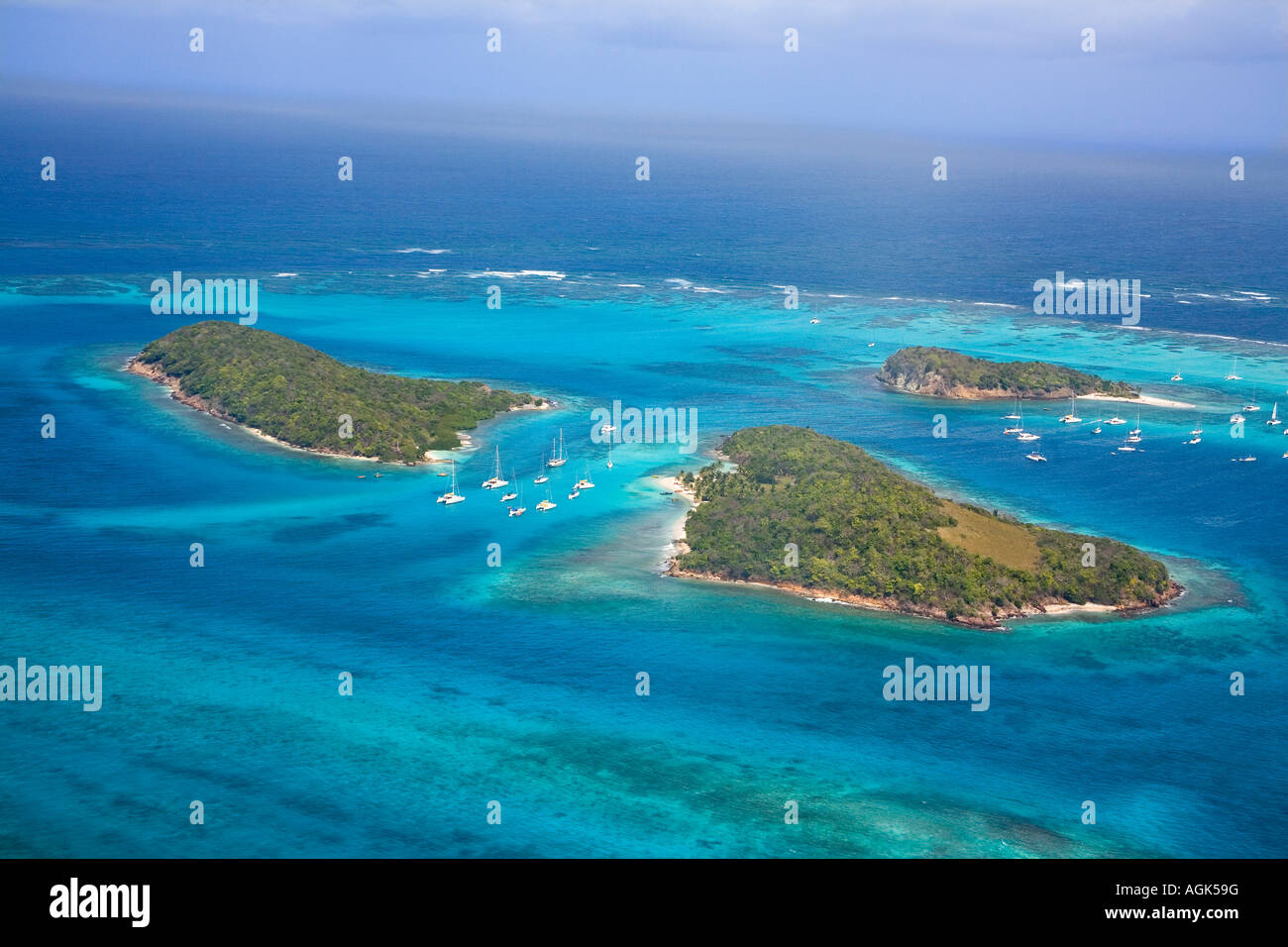 Tobago cays snorkeling hi-res stock photography and images - Alamy