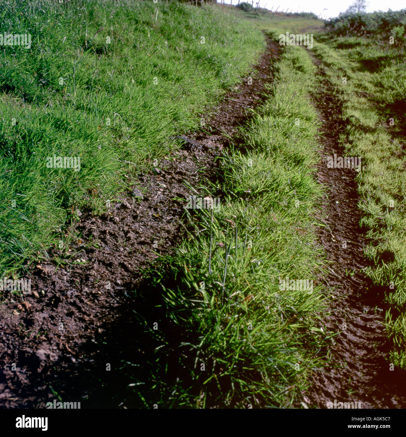 Low way farm hi-res stock photography and images - Alamy