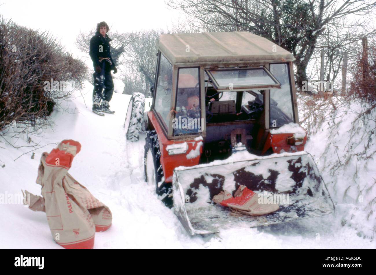 A farmer taking animal food to sheep standing by his tractor stuck in ...