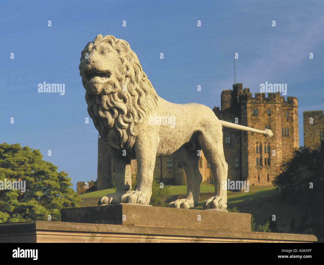 Alnwick Lion and Castle Northumberland Stock Photo - Alamy
